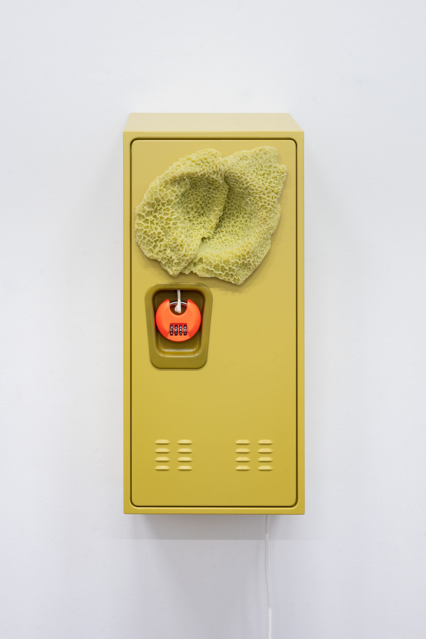 Cooper Jacoby - Lab'Bel